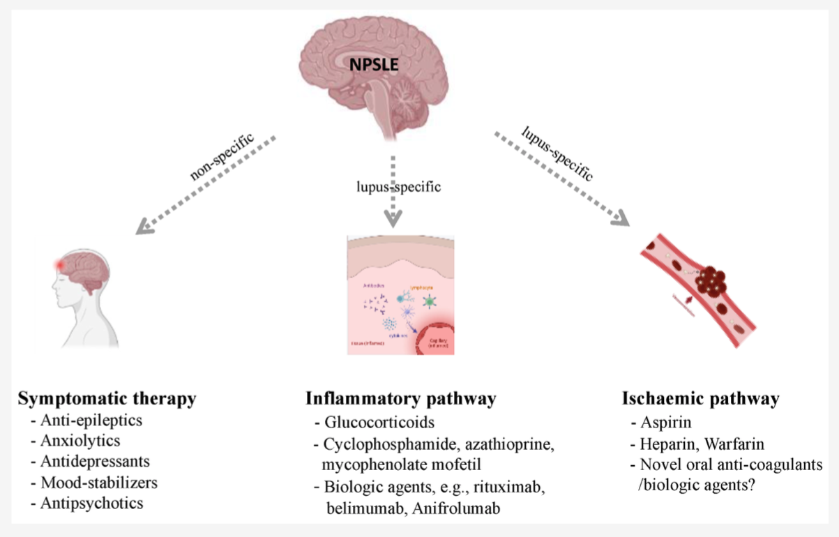 Tx for NPSLE diagram - Kaleidoscope Fighting Lupus Tx for NPSLE diagram - Kaleidoscope Fighting Lupus